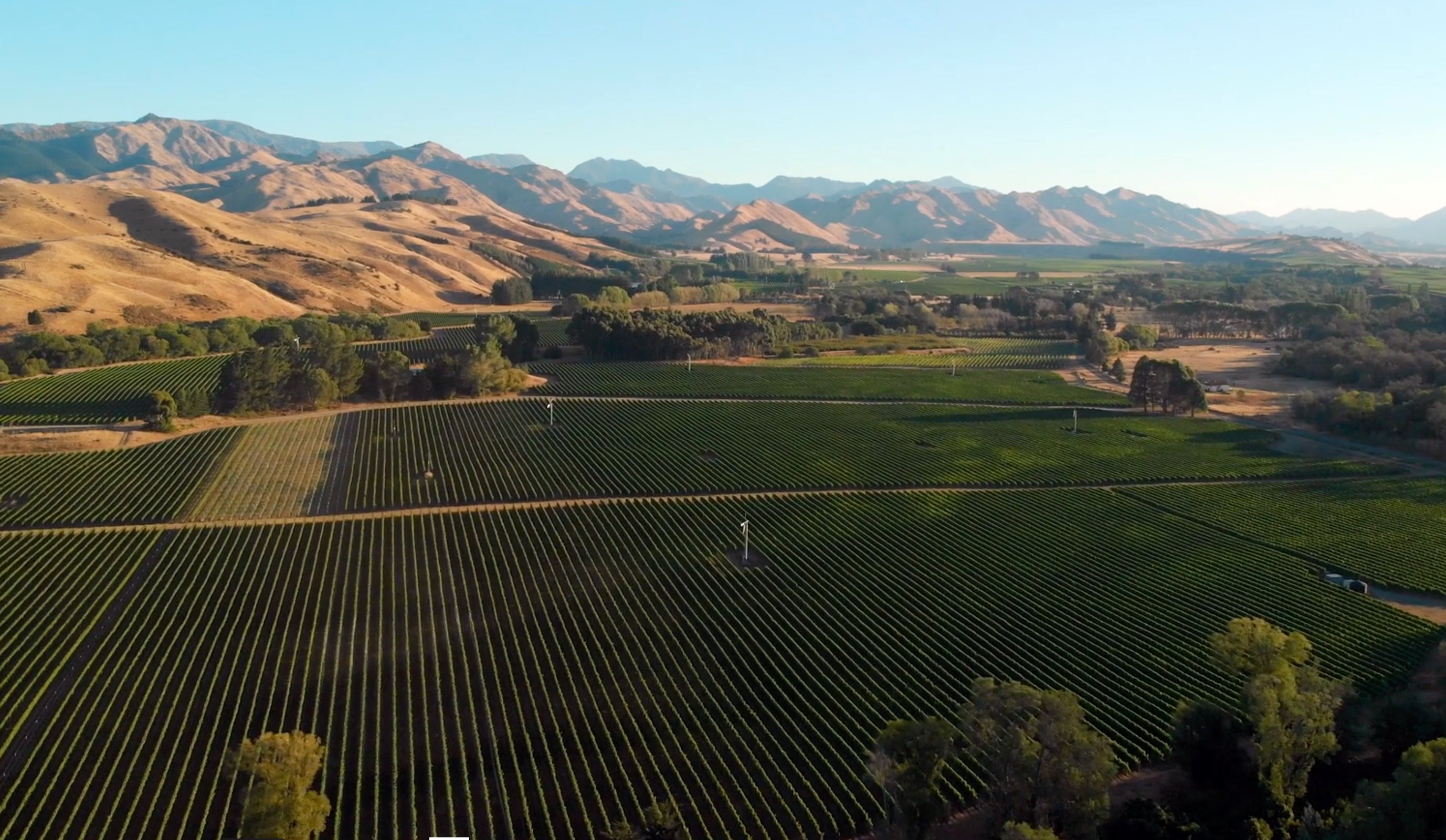 New Zealand – l'Art du Vin